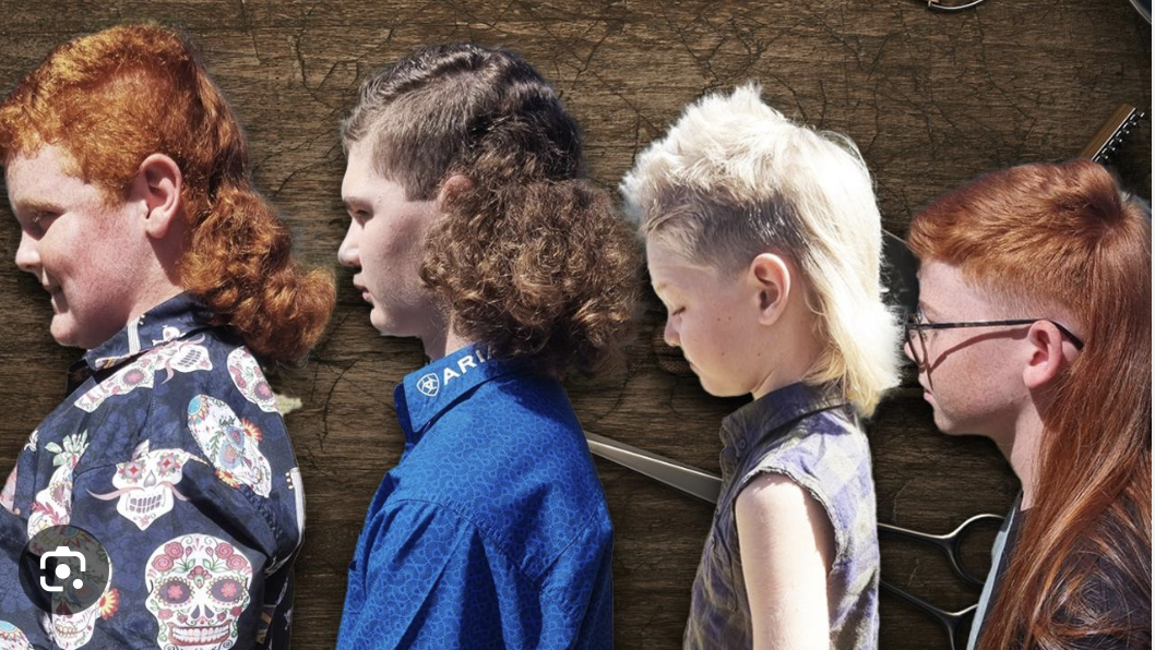 The Mullet Run – Perspectives on the Road