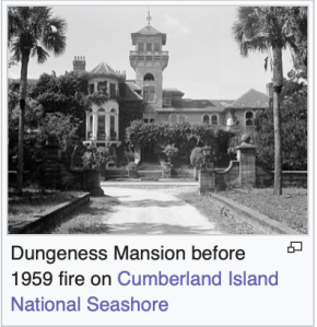 Cumberland Island National Seashore: A National Treasure – Perspectives ...
